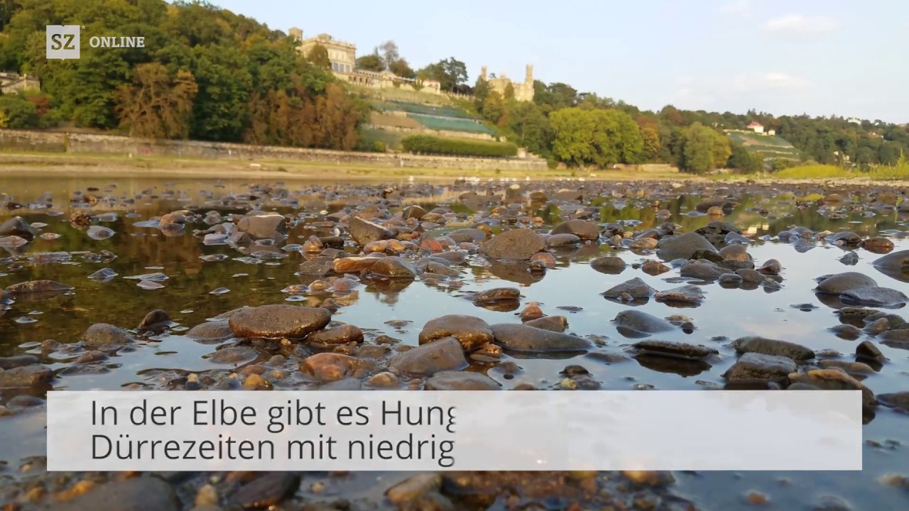 Der Blasewitzer Hungerstein - YouTube