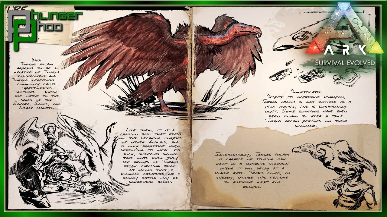 Ark Basics Vulture - THE TERRORS OF THE DESERT ARE ACTUALLY PRETTY COOL ...
