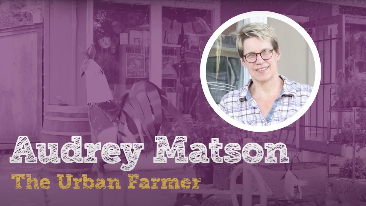 'Sota Short: Audrey Matson - The Urban Farmer - YouTube
