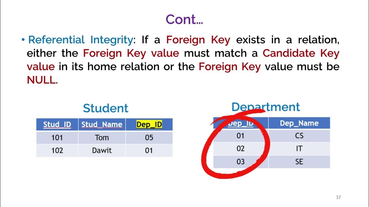 Understanding Relational Integrity: Entity, Domain, Referential, & Enterprise Integrity in ...