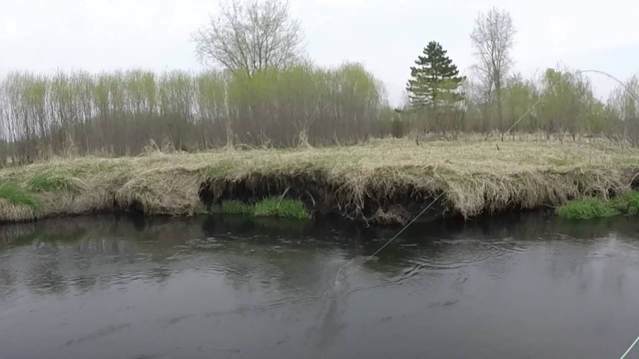 Trout Fly Fishing MN 2016 Opening Week - YouTube