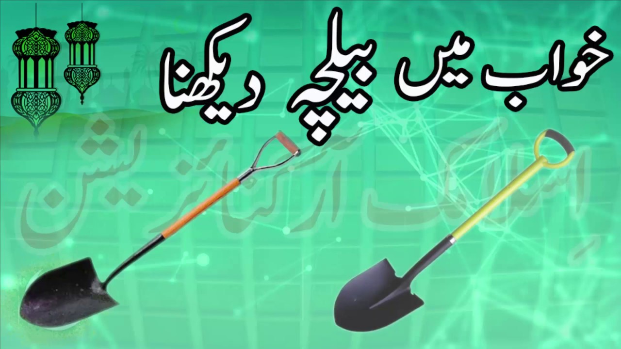 khwab mein bailcha dekhna - YouTube