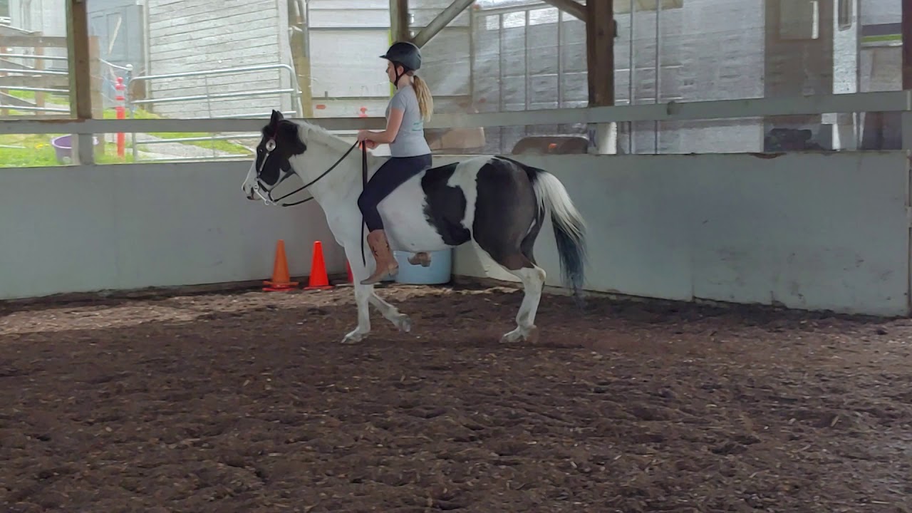 Makena Porter - W/J Western Bareback - YouTube