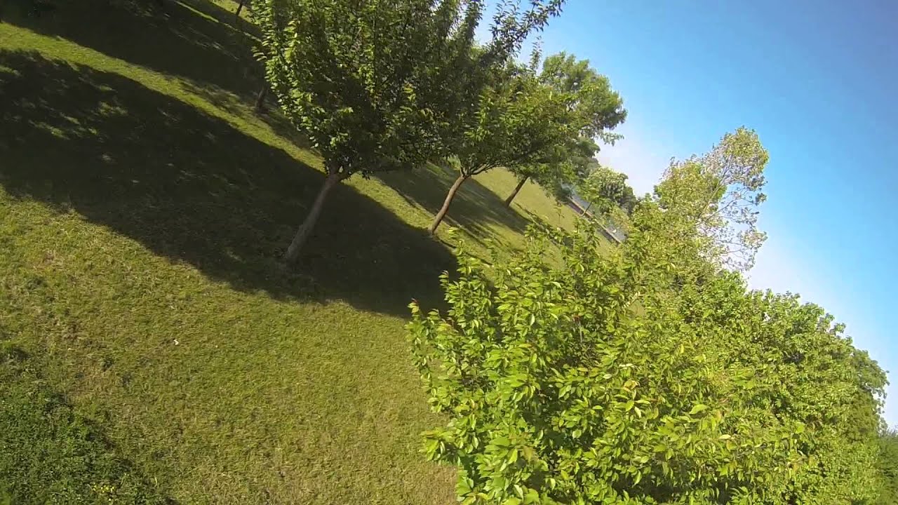 Tree playing FPV - GOPRO RAW 60fps - YouTube