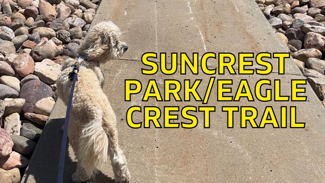 DOG FRIENDLY PARKS UTAH I SUNCREST PARK AND EAGLE CREST TRAIL I Draper ...