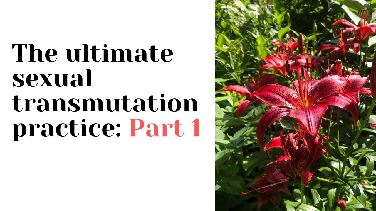The Ultimate Sexual Transmutation Practice ;-) - YouTube