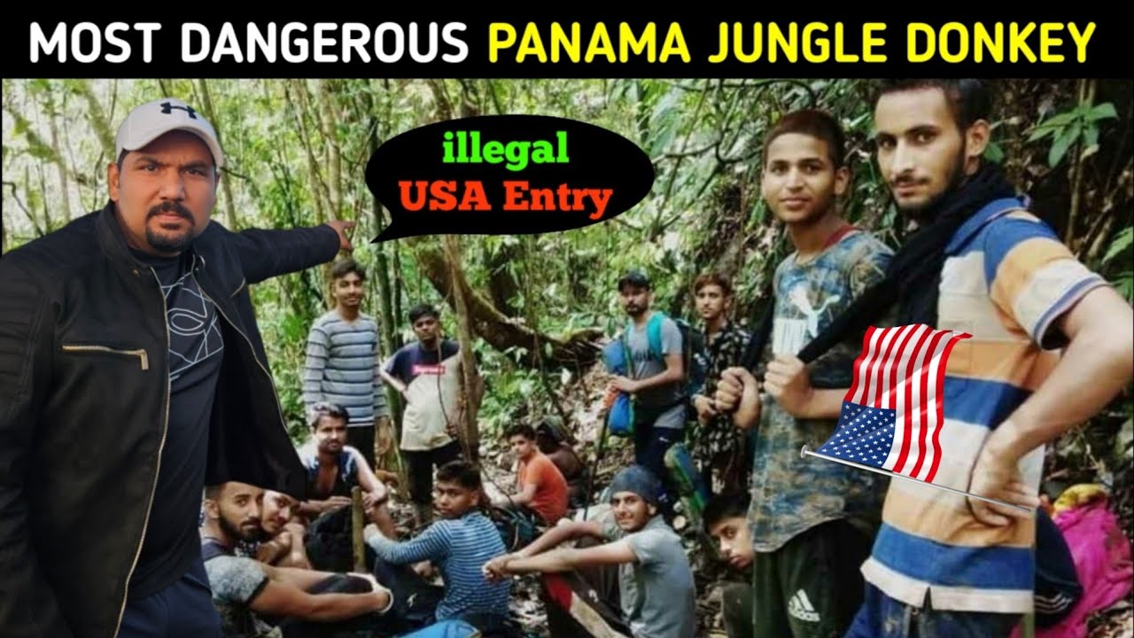 MOST DANGEROUS PANAMA JUNGLE DONKEY ROUTE || USA ILLEGAL BORDER ...