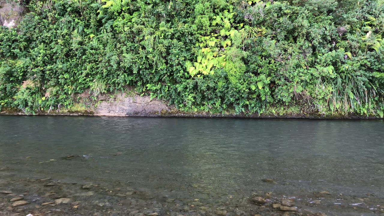 Waipawa River 5 , Hawkes Bay , New Zealand - YouTube
