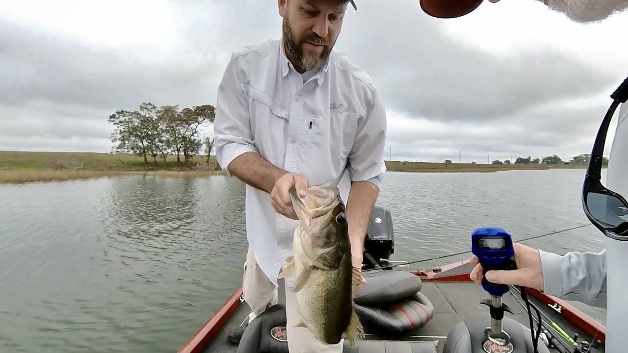 The Fall Bite Is Right! Largemouth Bass Fishing - YouTube