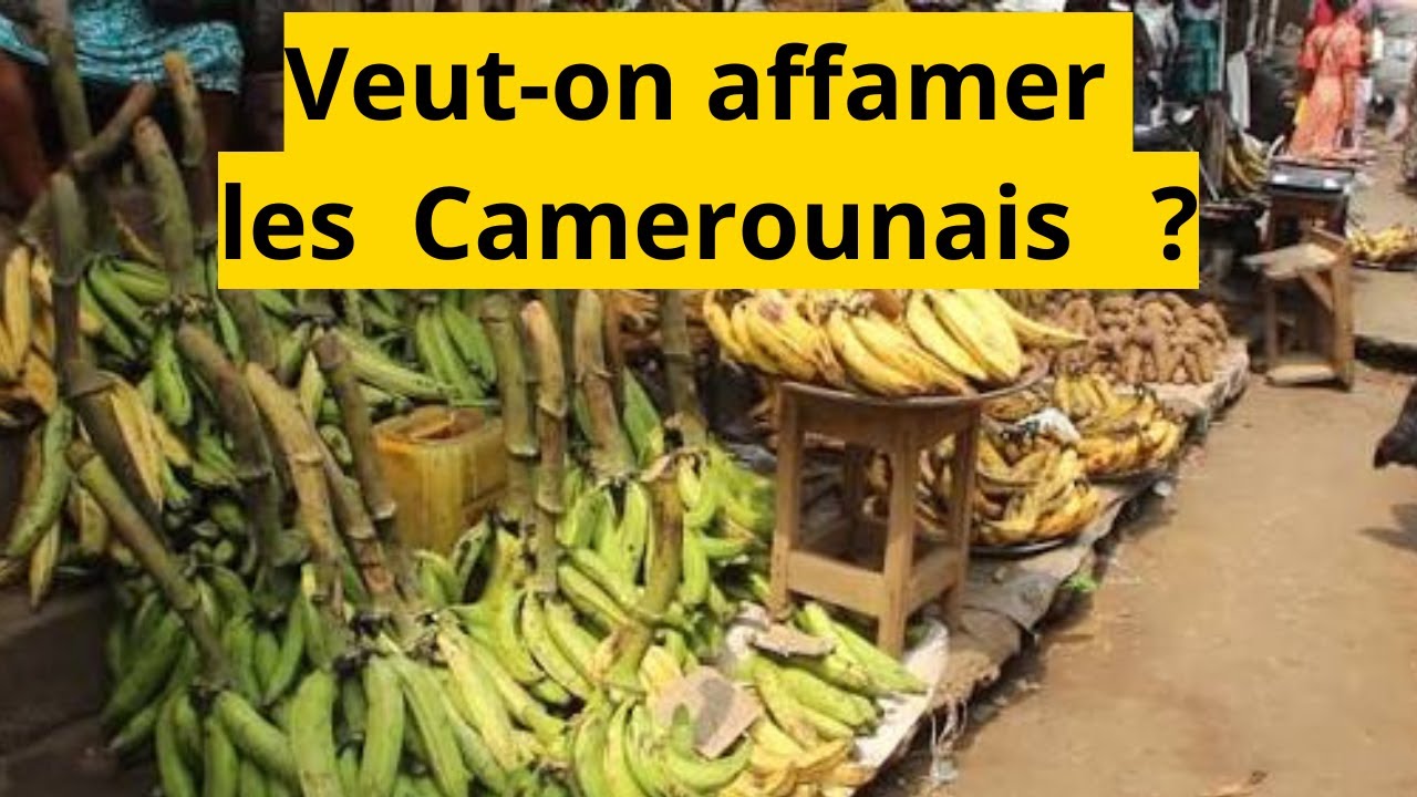Veut-on affamer les Camerounais ? - YouTube