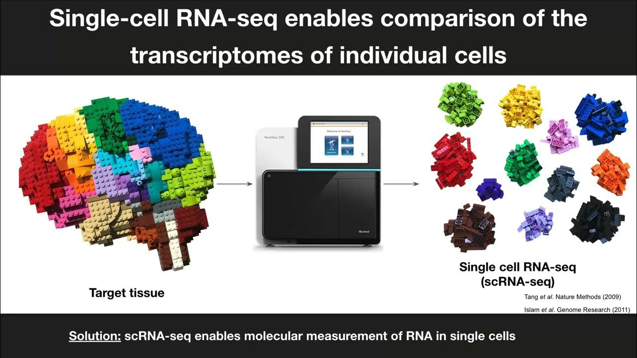 DH607 Fall 2024 Lecture 16 - Single-cell RNA-seq technologies - YouTube