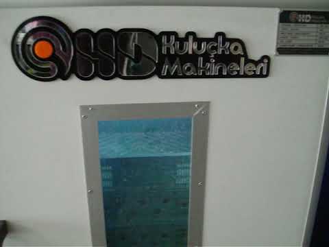 HD profesyonel elektronik tam otomatik kuluçka makinesi #civciv #yumurta
