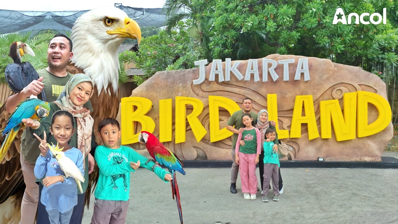 Review Lengkap Jakarta Bird Land Ancol Terkini | Taman Burung Ancol ...