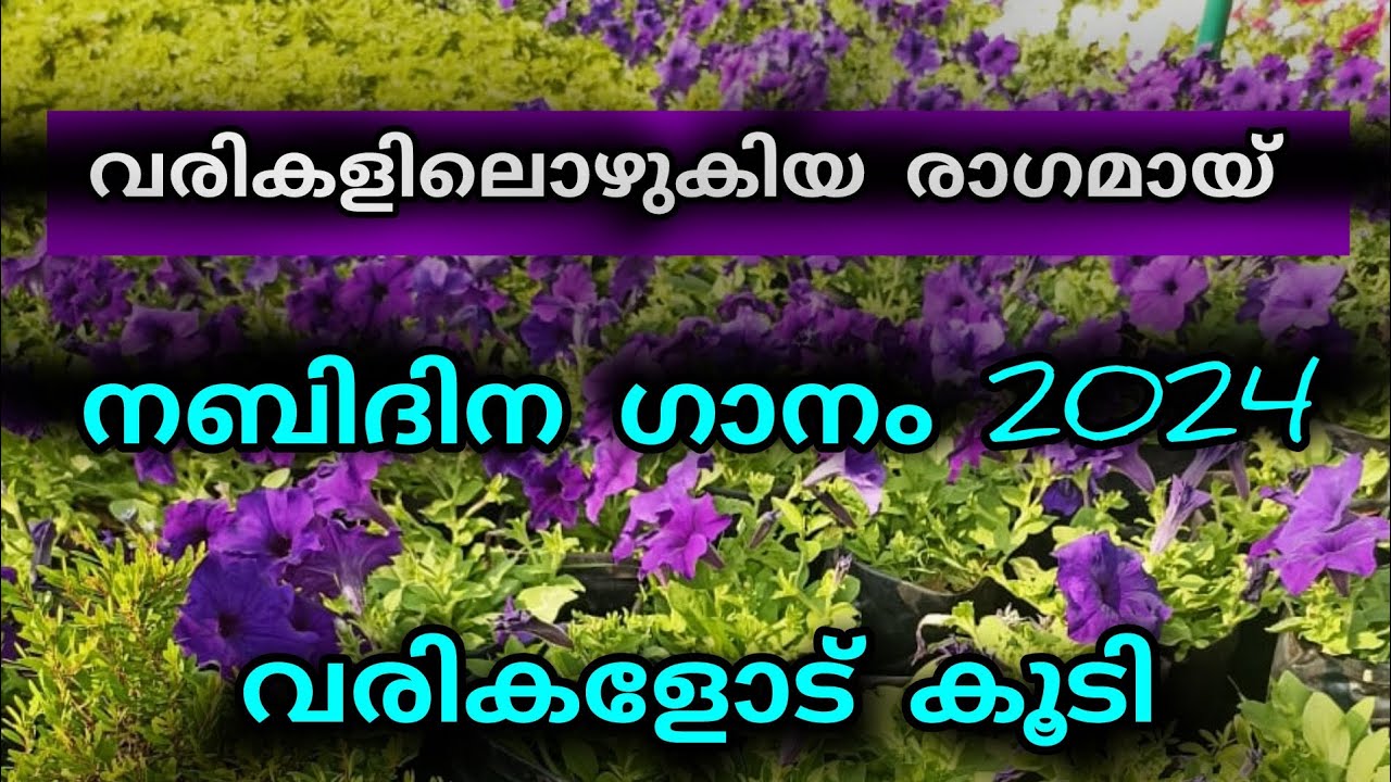 New Nabidina Song 2024 | New Nabidina Song Lyrics | Nabidina Song 2024 ...