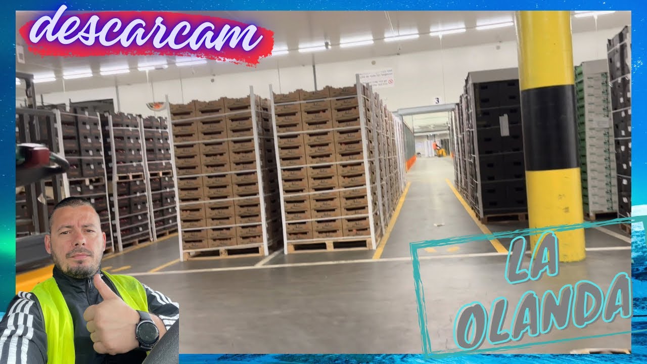 🚛- ULTIMA cursa din 2024 cu trei descarcari OLANDA - YouTube