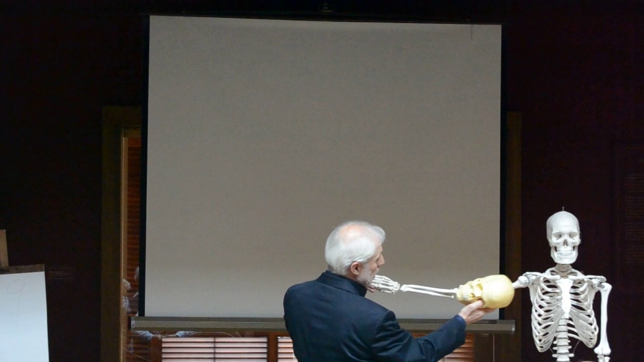 Art Highlights with Robert Selby - YouTube