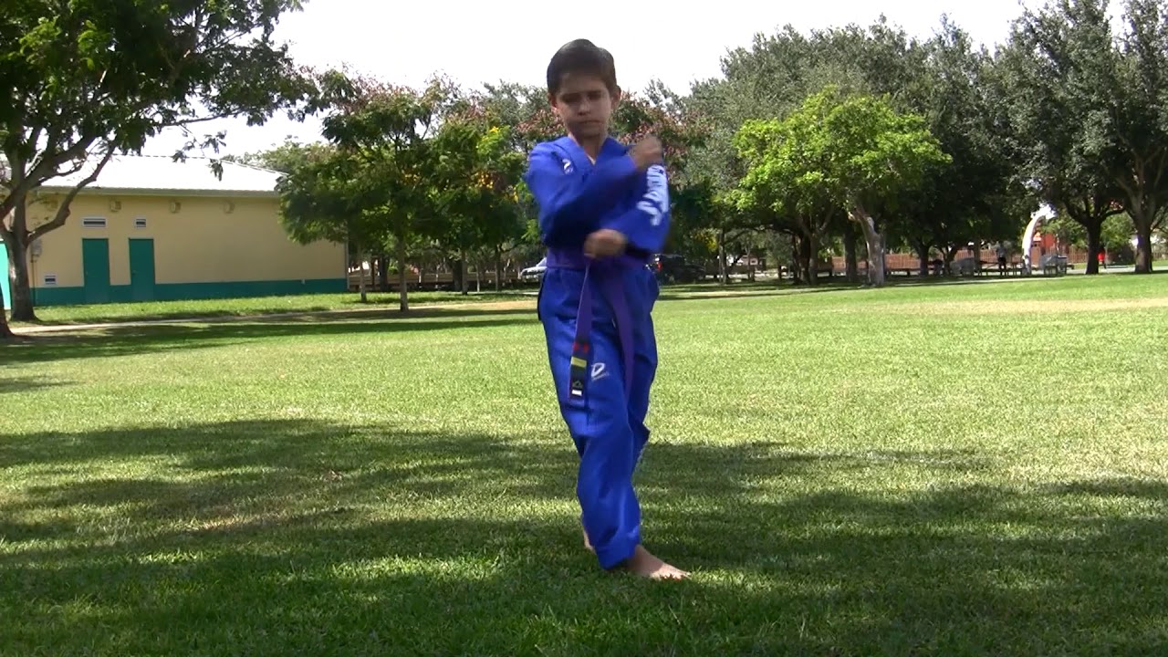 Taekwondo Form 3 – Taegeuk Sam Jang - YouTube