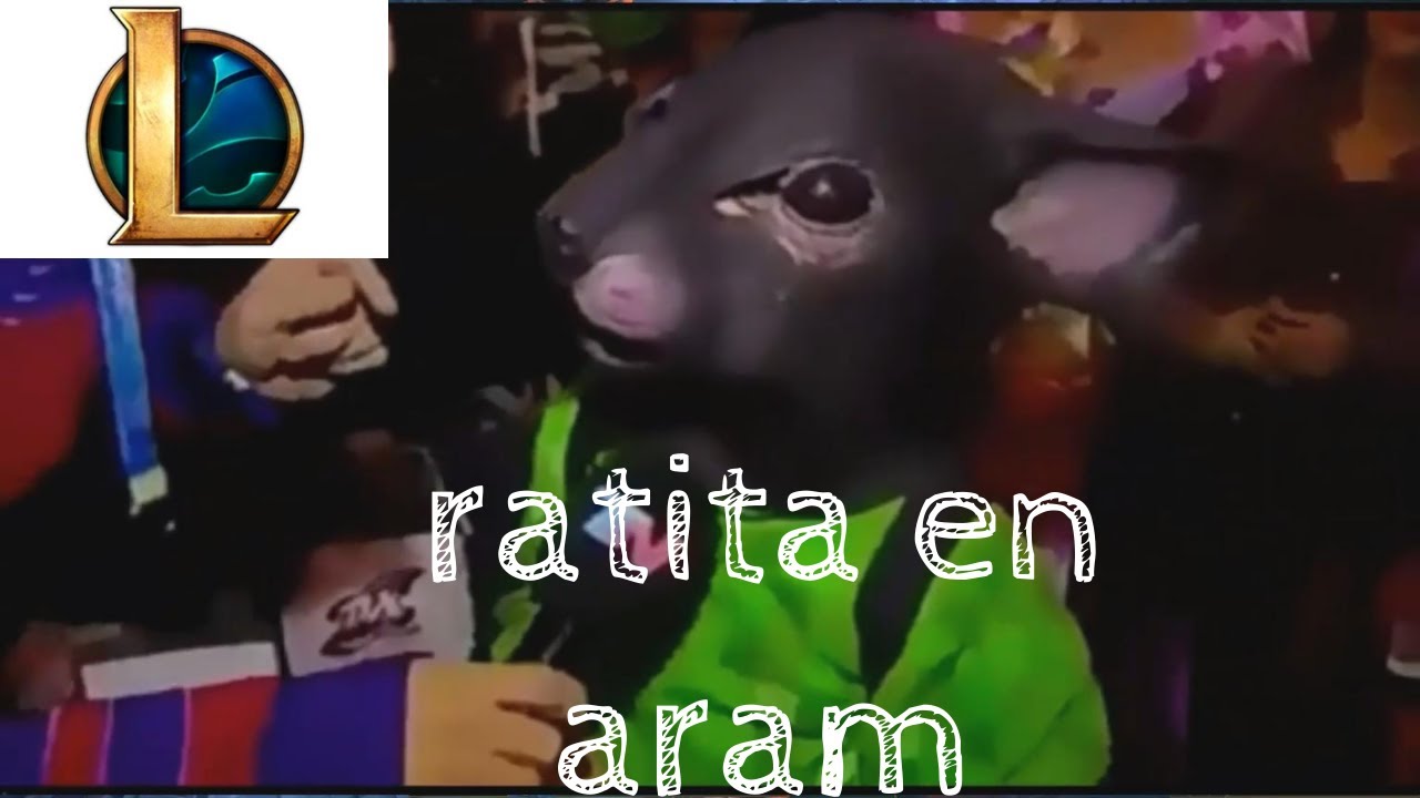 league of legends "aram" | Partida con un rata - YouTube