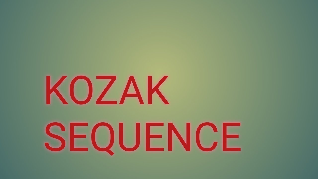 Kozak sequence Human ll CSIR-NET Life science ll xgene & proteinx - YouTube