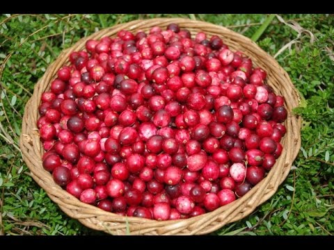 Kaip sodinti spanguoles? Pakeltoje lysvėje ? Ir dar apvalioje? Mes ...