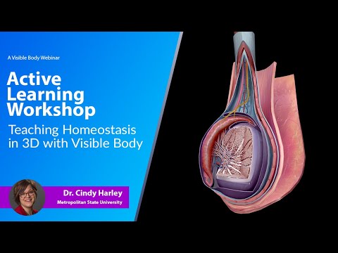 Active Learning Workshop | Teaching Homeostasis in 3D with Visible Body - YouTube