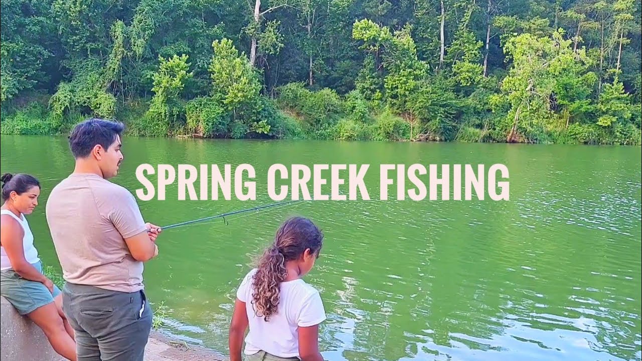 Spring creek fishing! (NEW SPECIES!!) -(and a weird turtle)- - YouTube
