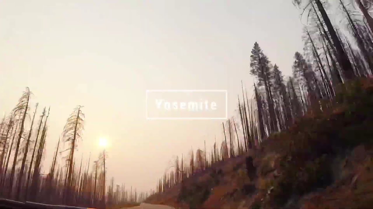 Yosemite drive through fall colors - YouTube