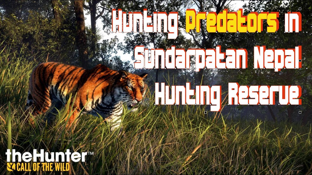 🔴 Hunting Predators in Sundarpatan Nepal Hunting Reserve - YouTube
