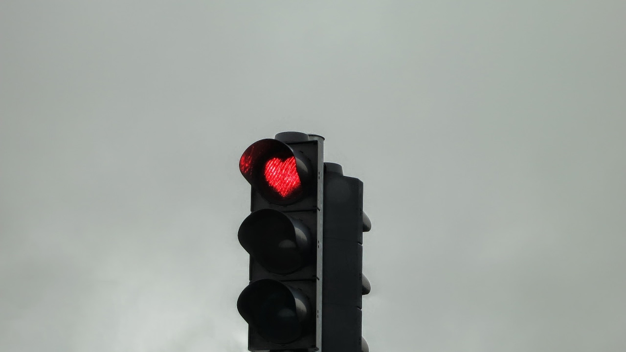 Where is Chicky ? Funny Chicky 2018 | Chicky Ball Cartoon For Children ...