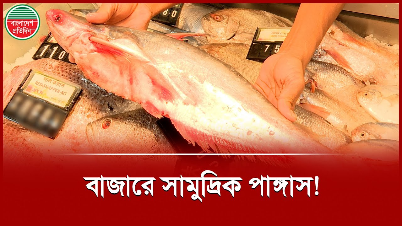 আপন মার্টে মিলছে সামুদ্রিক পাঙ্গাস! | Ocean Pangas | Apon Family Mart ...