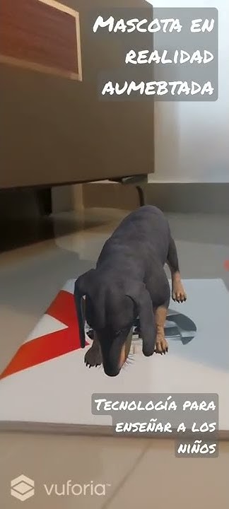 MASCOTA EN REALIDAD AUMENTADA CON BLENDER Y UNITY - YouTube