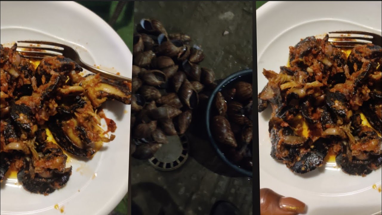 How To Prepare Snails From Starting To Finishing, The Ending Part Is ...