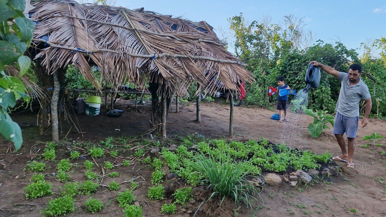 simples vida na roça junto a natureza ,a simplicidade me faz muito ...