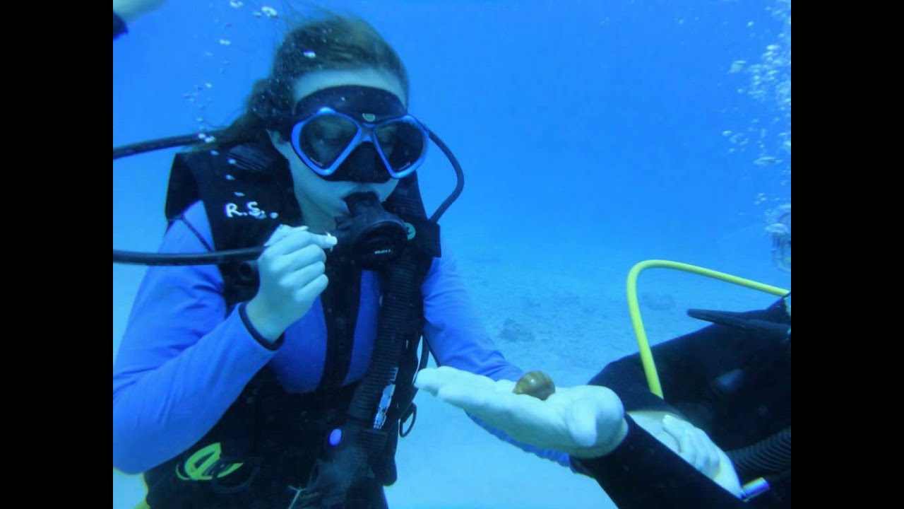 Learn How To Scuba Dive! - YouTube