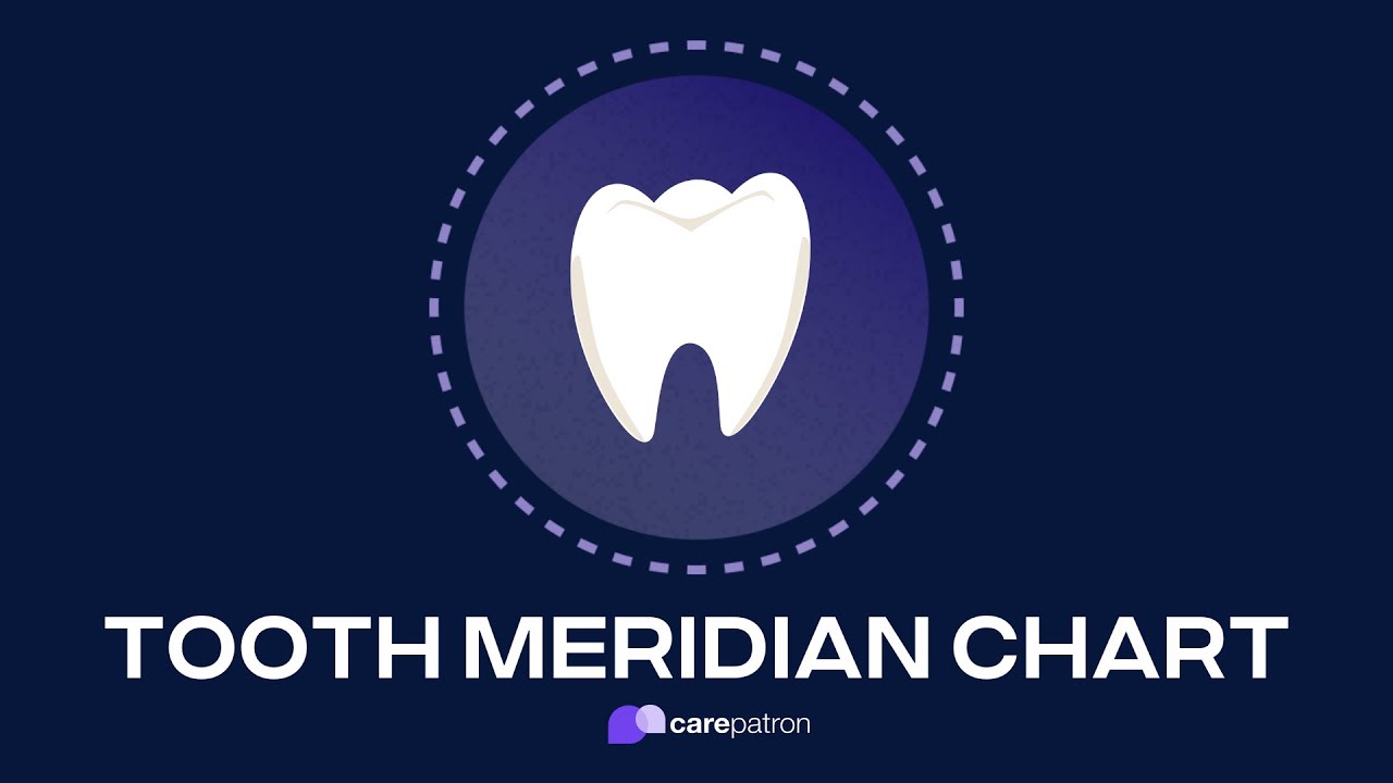 Tooth Meridian Chart - YouTube