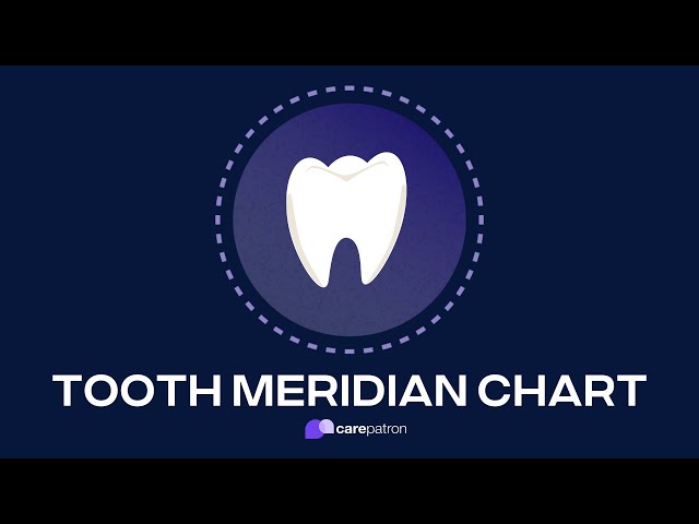 Dental Meridian Tooth Chart