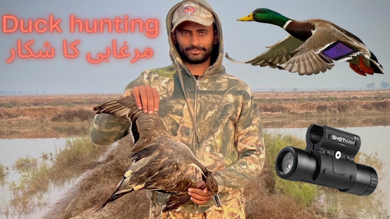 Duck hunting in pakistan. Shotkam hunting in pakistan. - YouTube
