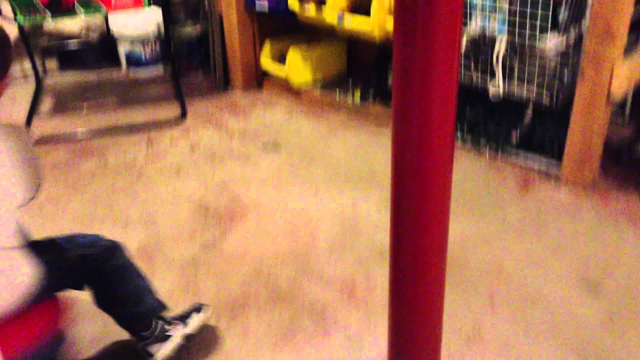 IMG 1720 YouTube