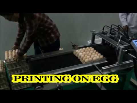 Egg Printer Printjet 6E for Eggs - YouTube