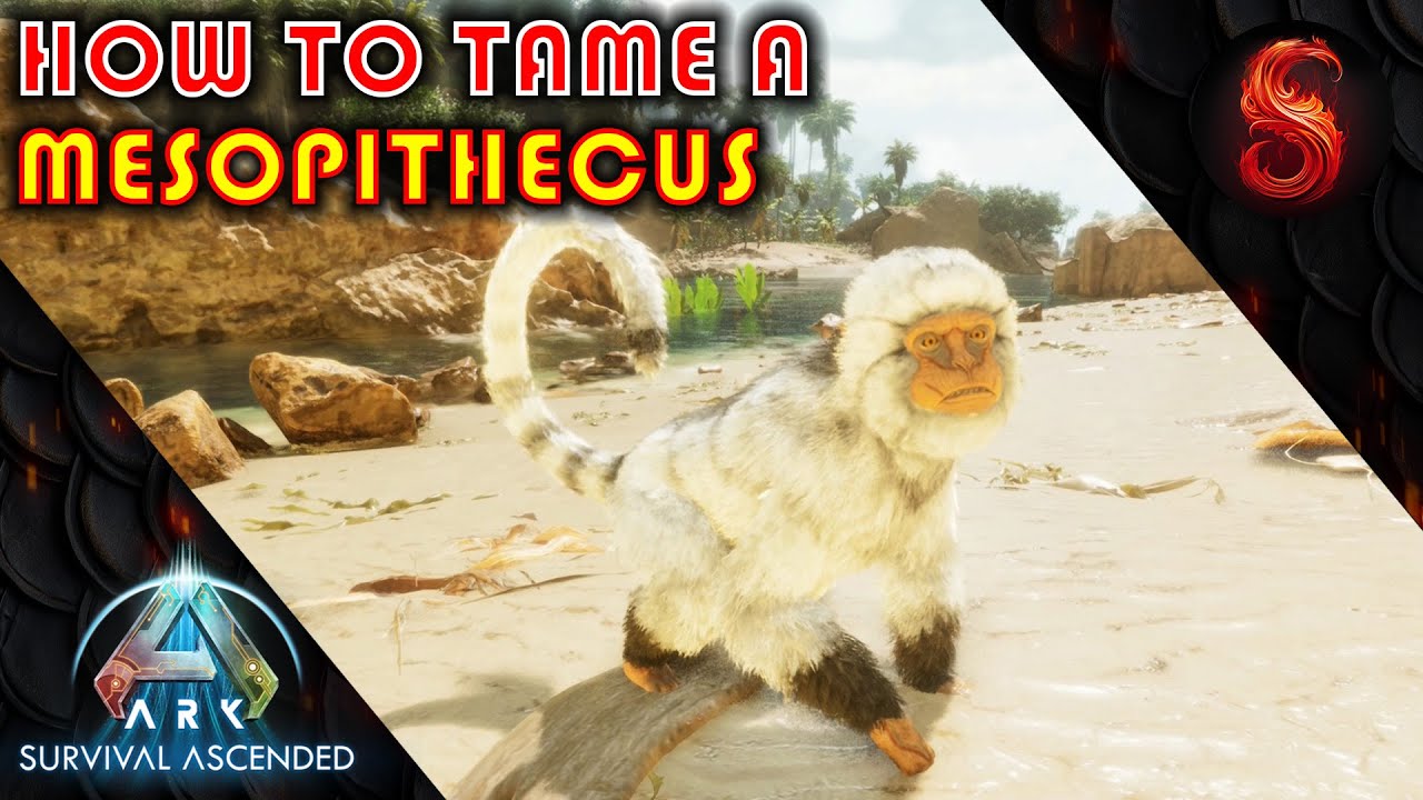 ARK SURVIVAL ASCENDED HOW TO TAME A MESOPITHECUS - YouTube
