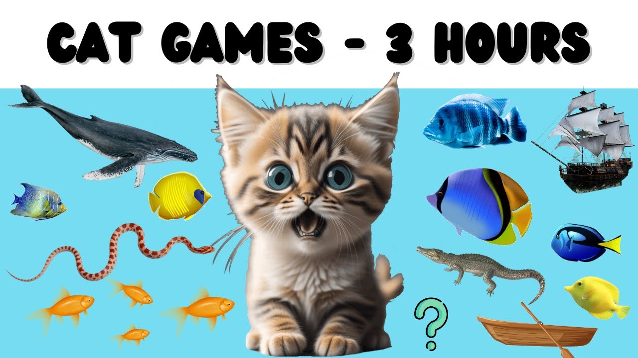 Cat Games Compilation - Fish & Water Edition - 3 Hours of Cat TV with ...