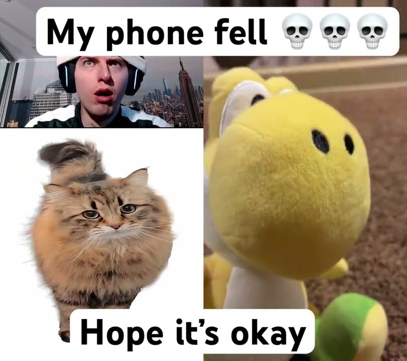 Phone fell 😱😱😱💀💀💀🤣🤣🤣 #memes #funny - YouTube
