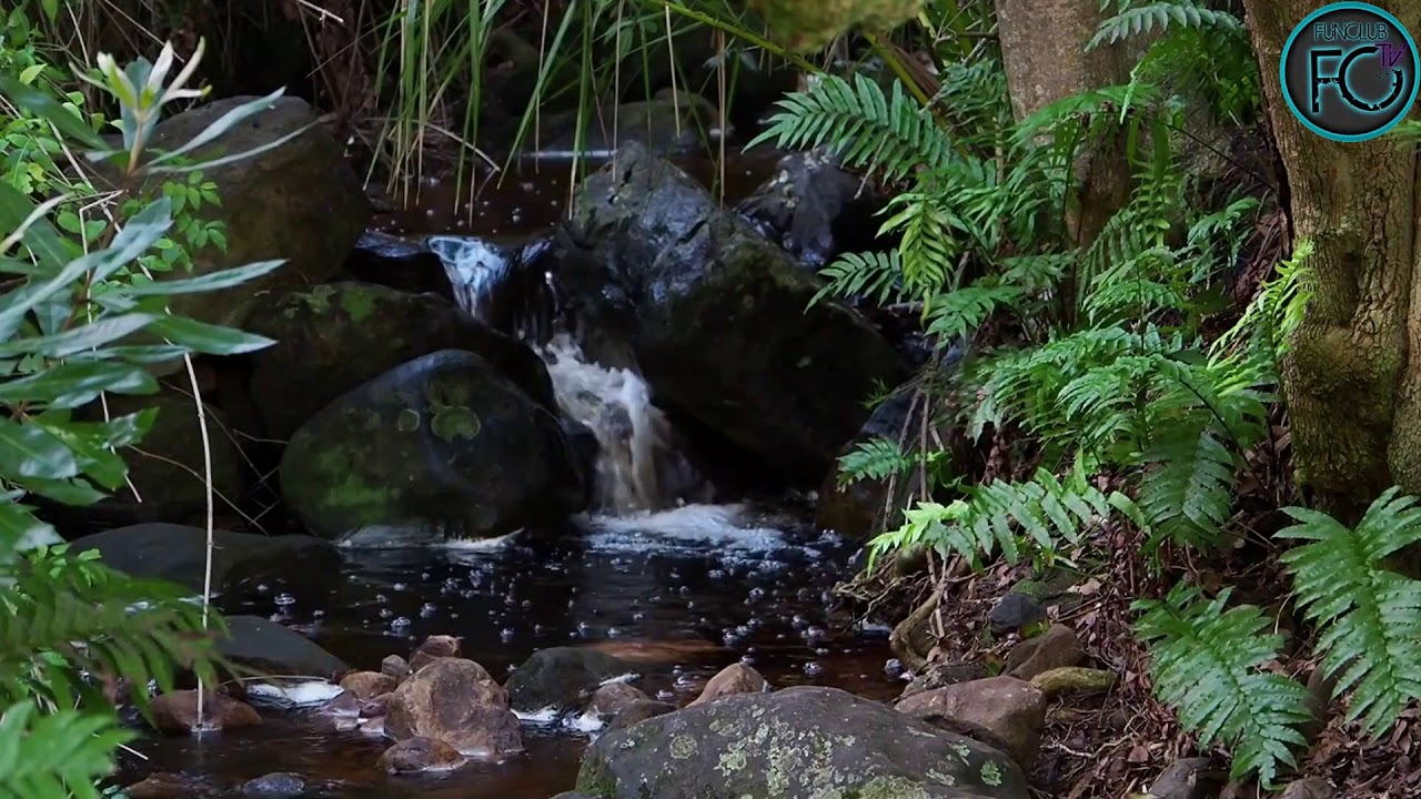 Waterfall music & relaxing sound HD - YouTube