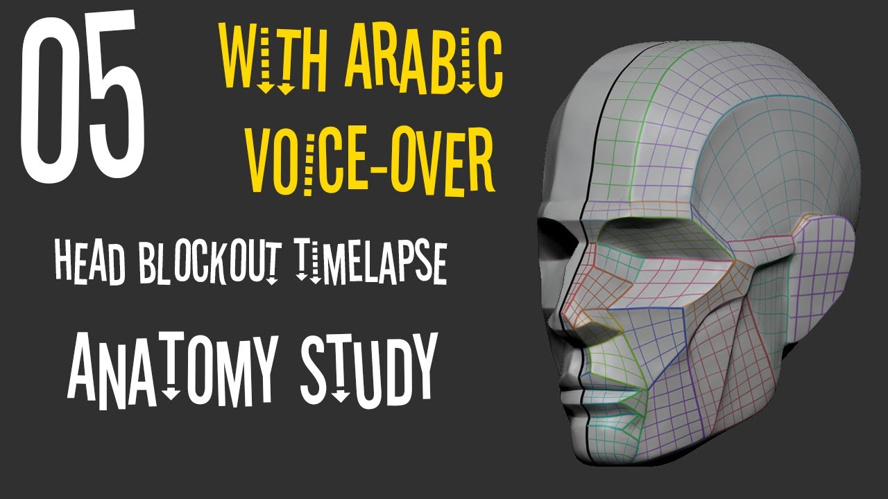 005 | Head Blockout Zbrush Tutorial | Arabic Voice-Over !!!! - YouTube