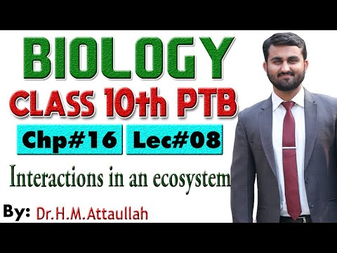 Interactions in an Ecosystem | Chapter # 16 | Biology Class 10th | Lec ...