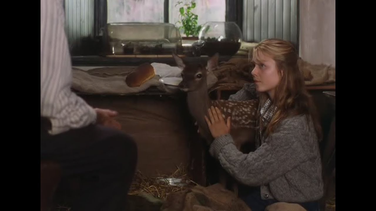 The Princess Stallion (1997) - YouTube