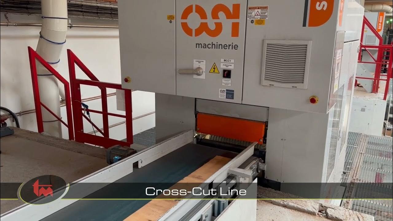 Optimized cross-cut line incl. moulding and scanning equipment- Opti ...