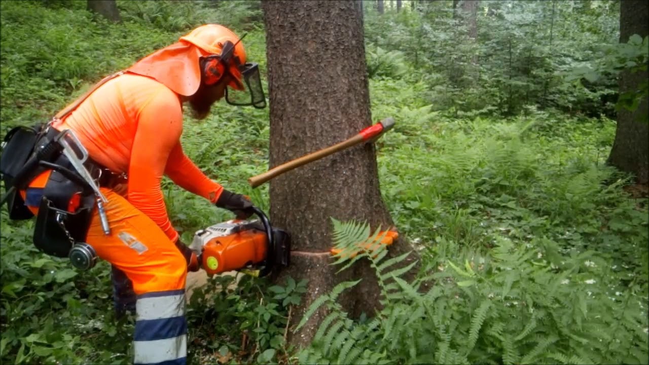 Work in forest, 361-2020, Forstarbeit, Práce v lese - YouTube