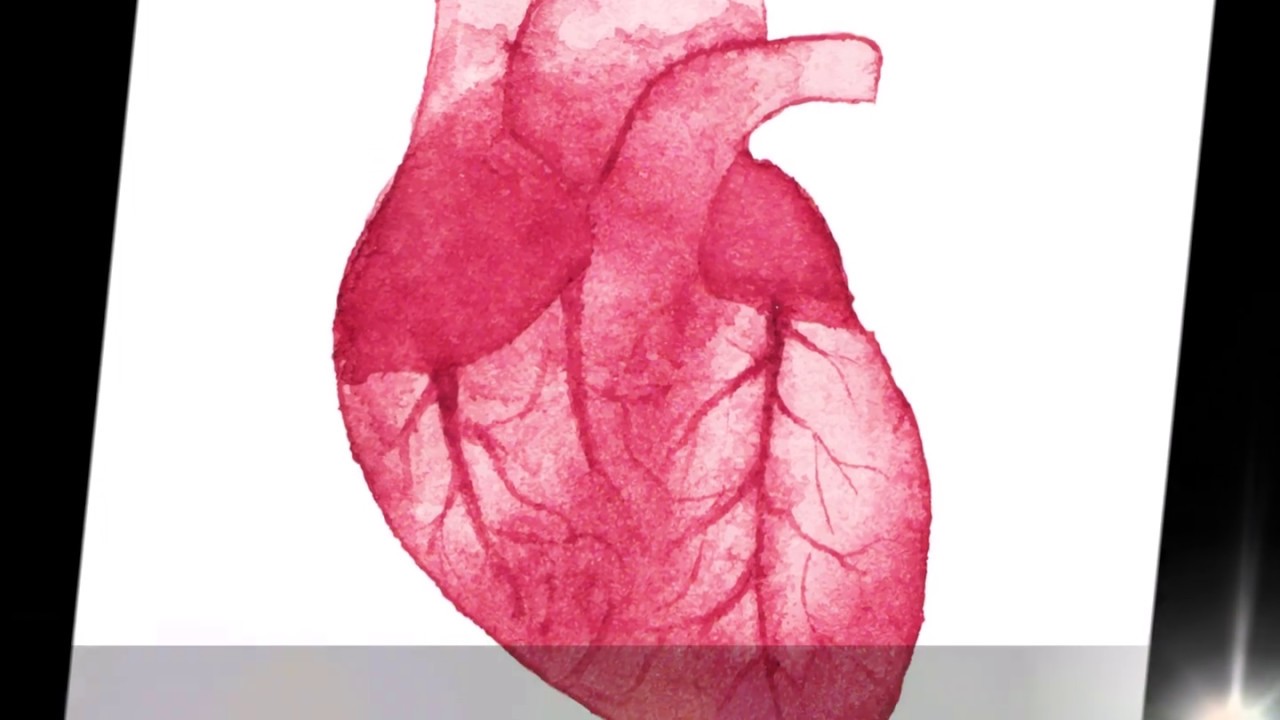 Región precordial - YouTube