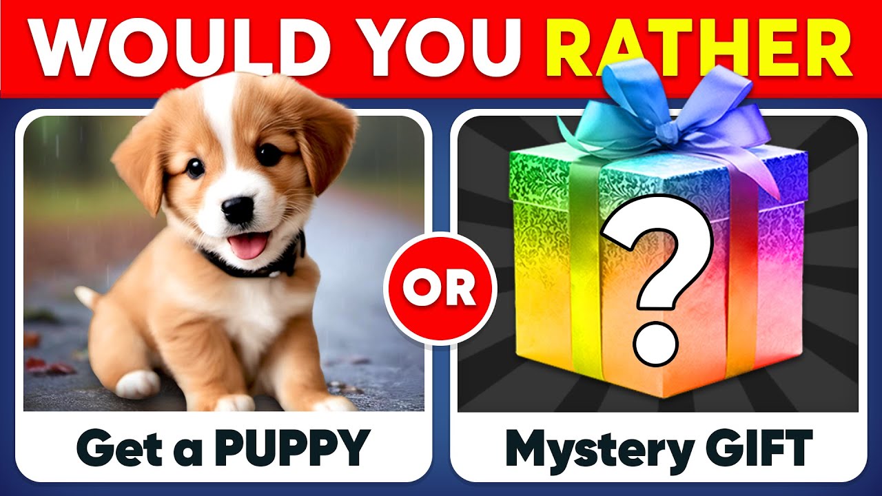 Would You Rather...? 🎁 MYSTERY Gift Edition | Pup Quiz - YouTube